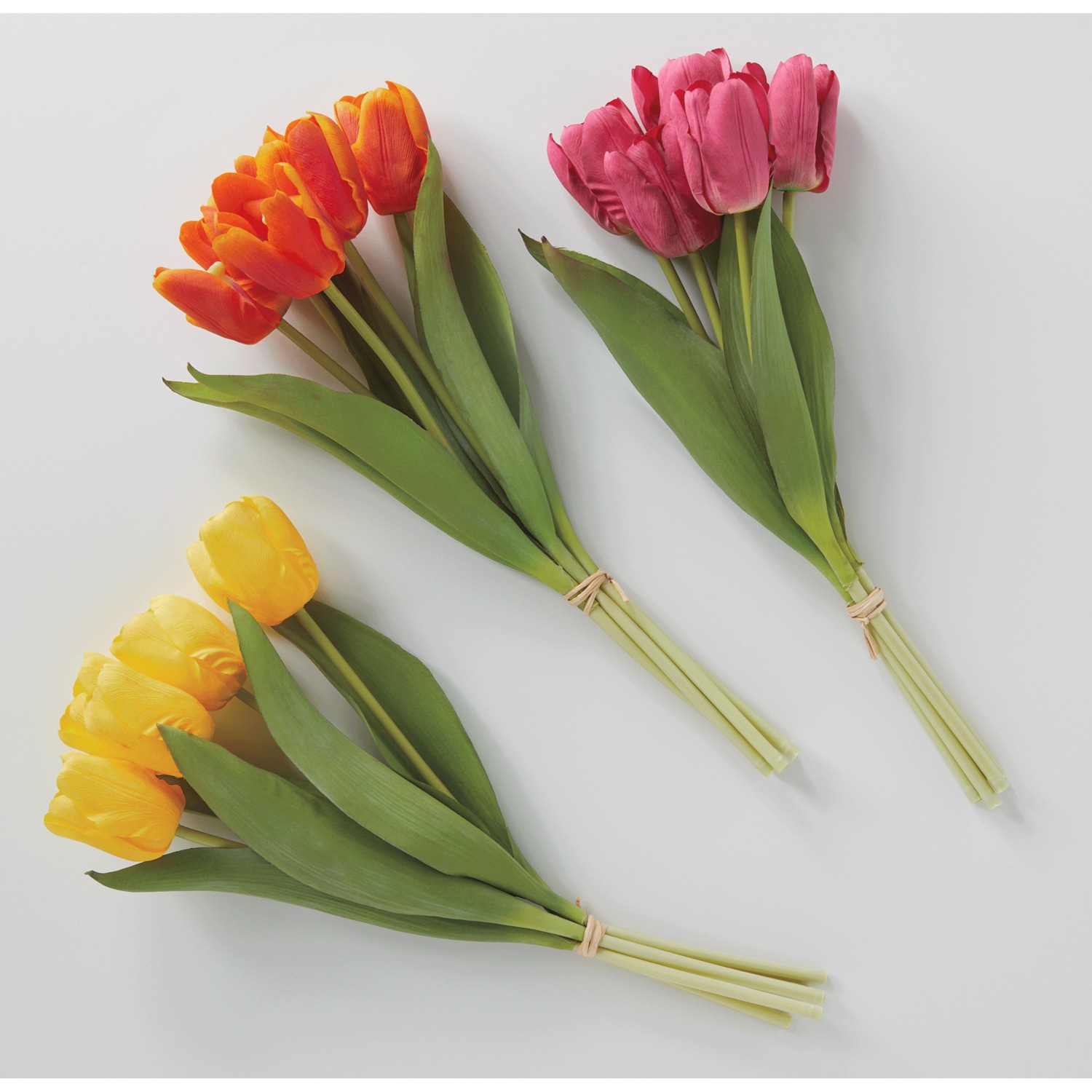 Tulip Stems | Country Door