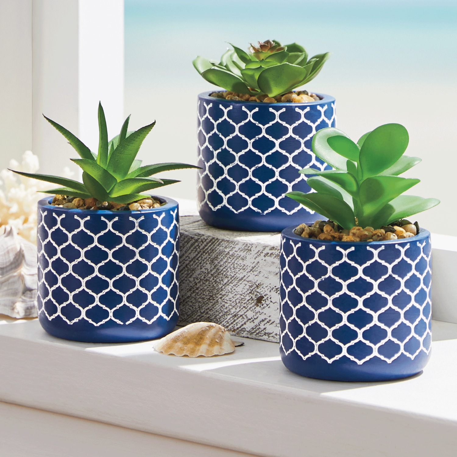 Set of 3 Succulents in Blue Pots | Country Door