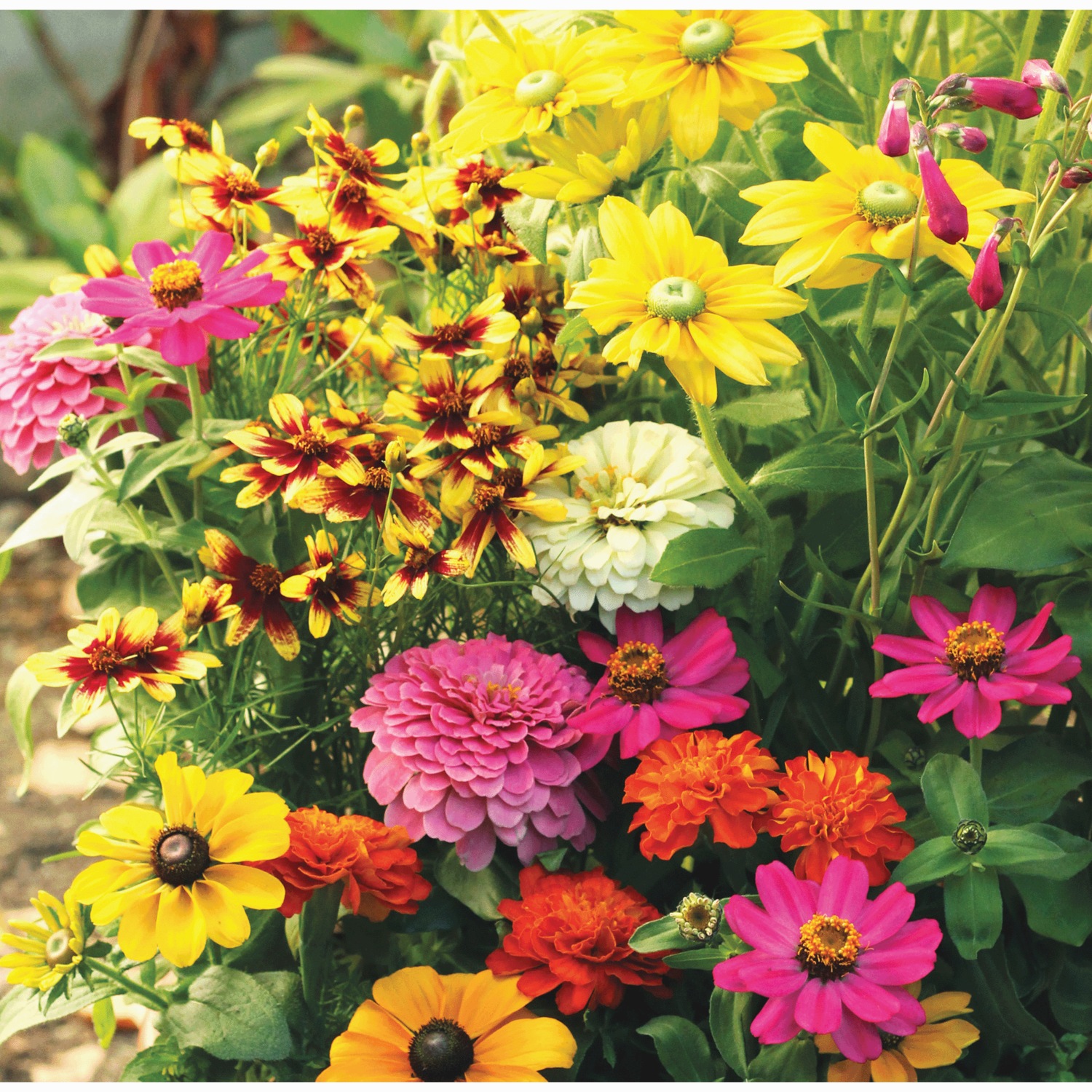 Butterfly Garden Flower Mat | Country Door