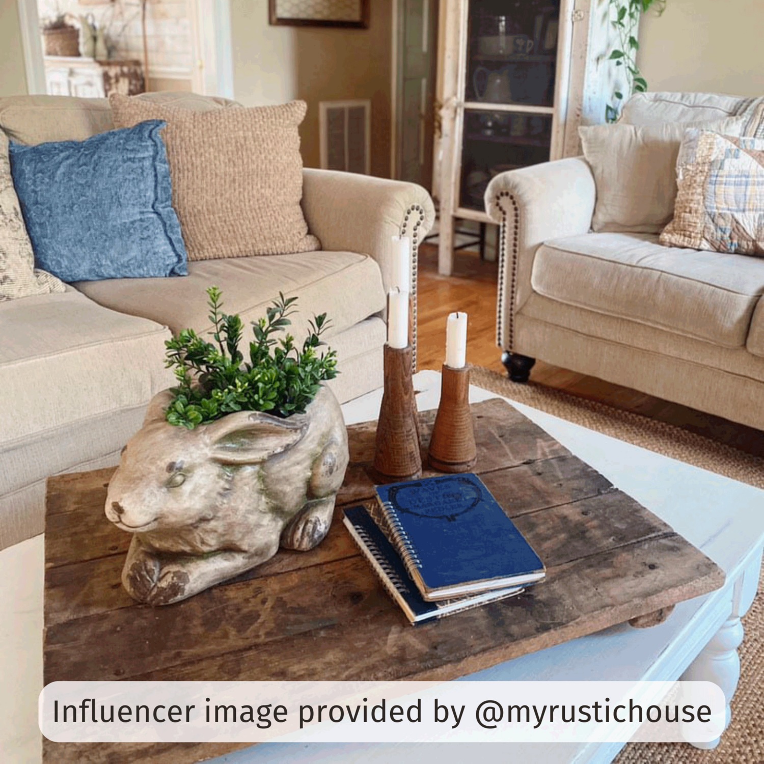 Rabbit Planter | Country Door