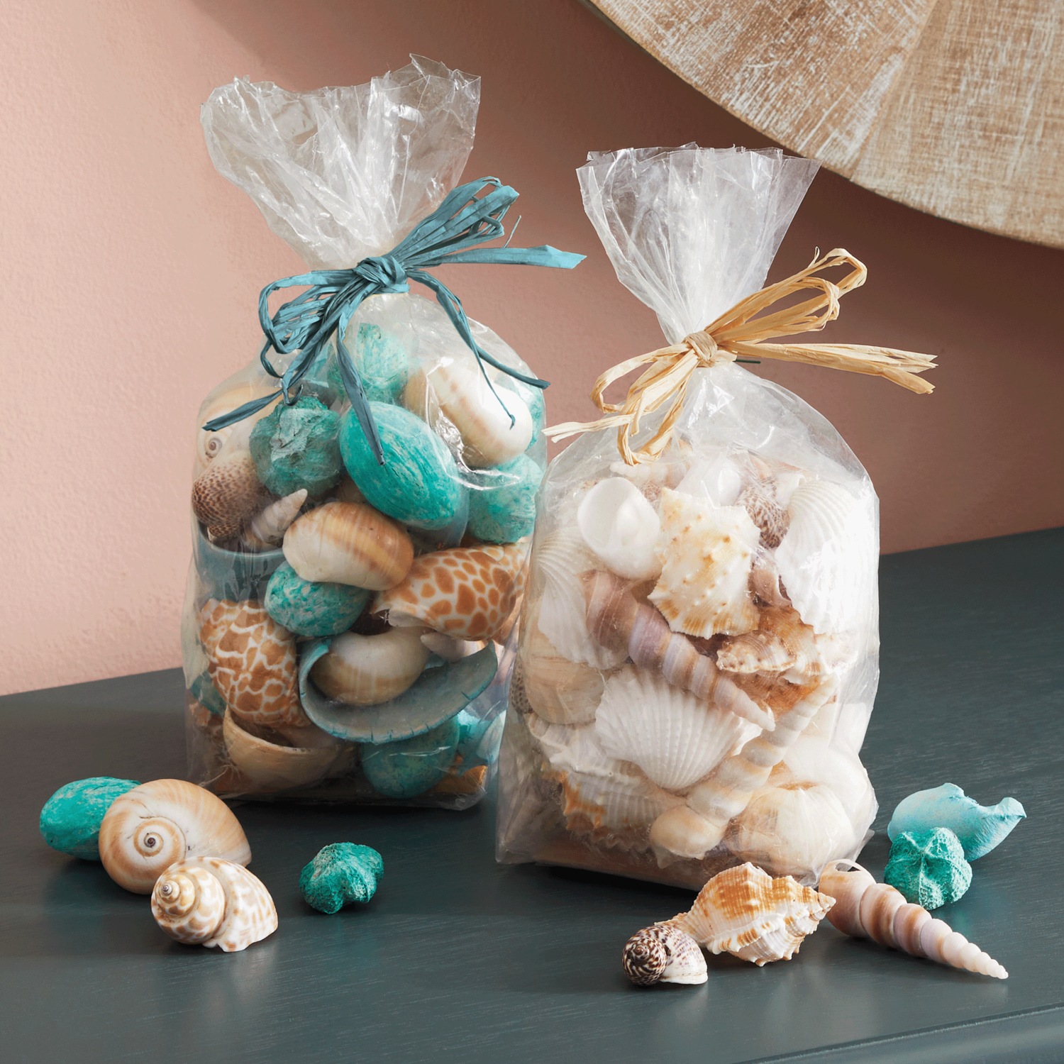 Set of 2 Coastal Shell Fillers | Country Door