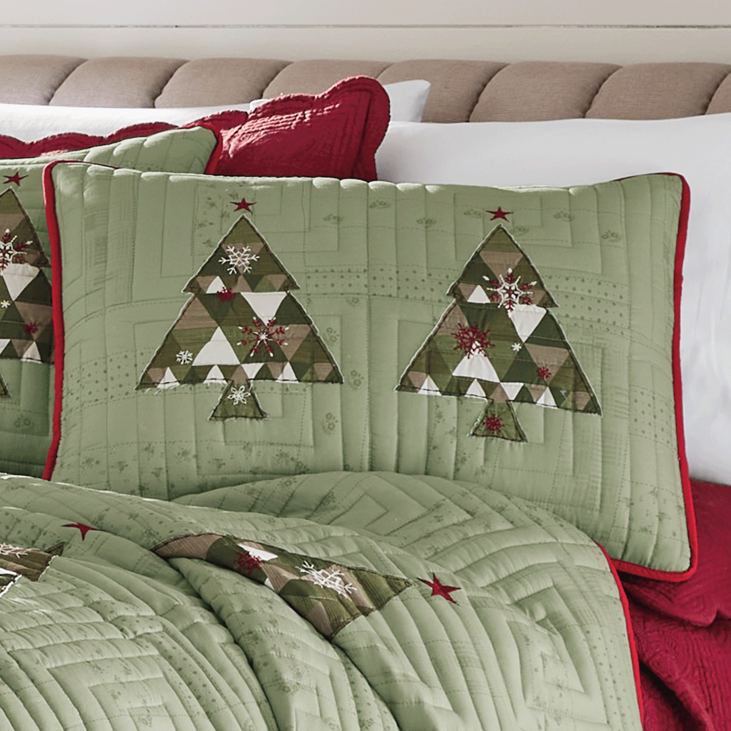 Balsam Sham | Country Door