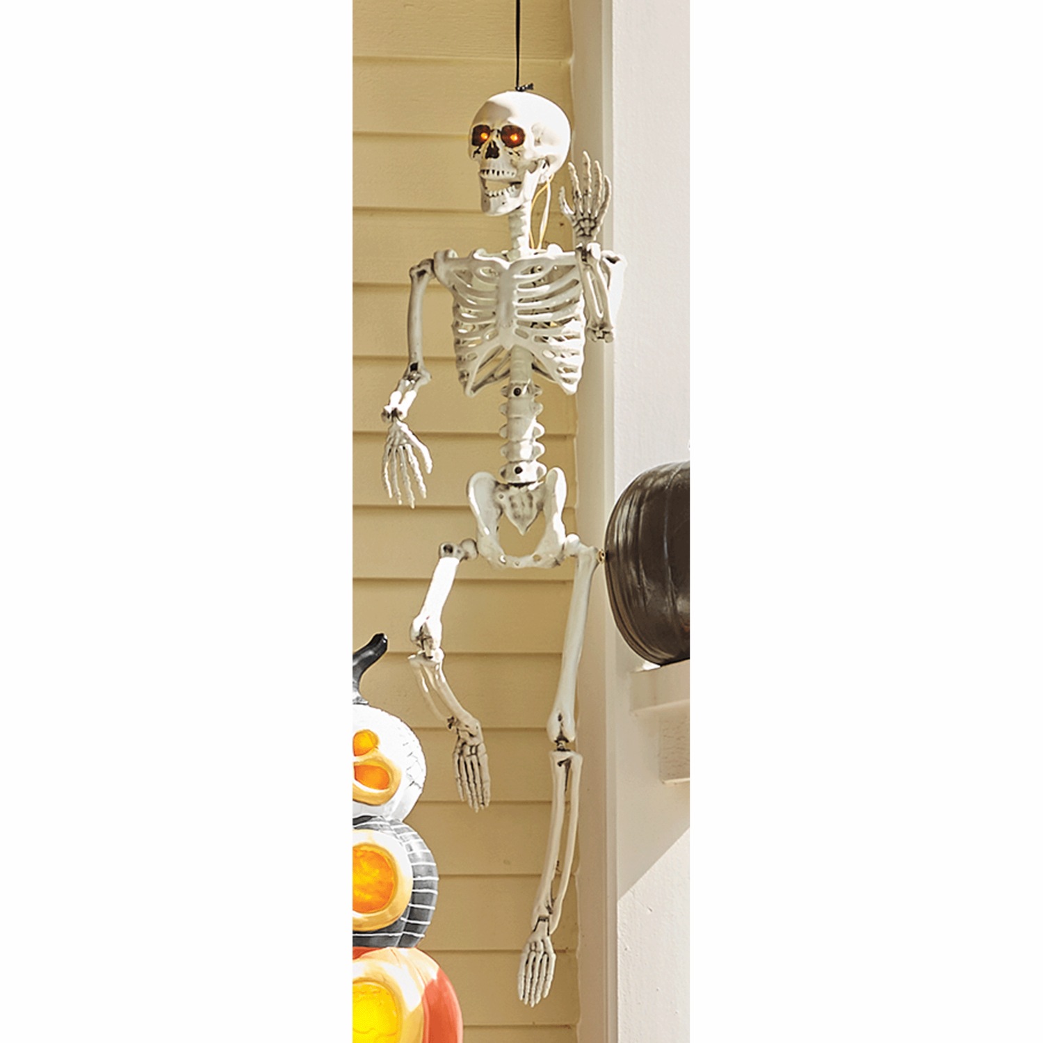 Set of 2 Posable Skeletons | Country Door