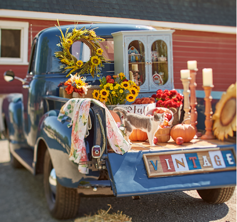 Country Home Decor Catalogs | Shelly Lighting